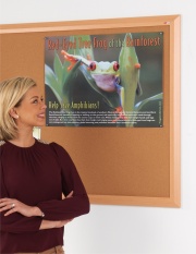 Natural Cork Notice Boards - Signs for Churches